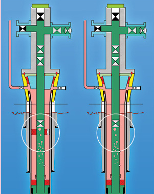 Sample Portfolio – Leokadia Rucinski